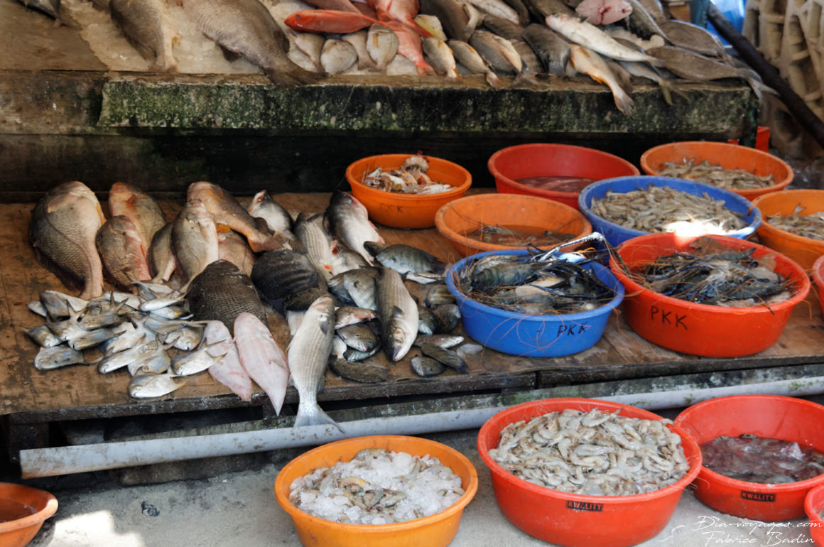 Décembre 2011 : Asie – Inde – Kerala – Kochi – Marchand de poissons ...